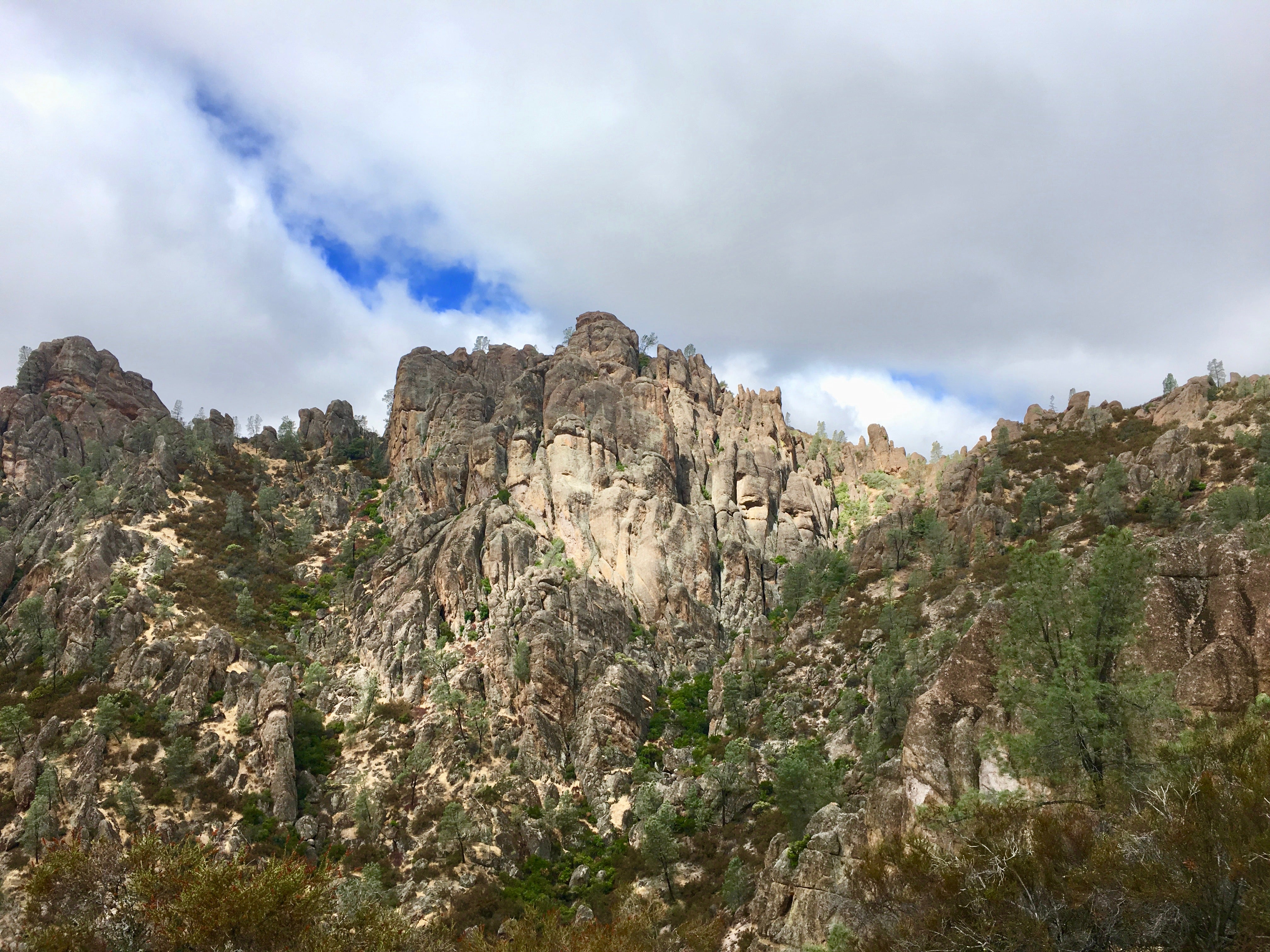 California Condor Field Trip | San Diego Zoo Wildlife Alliance