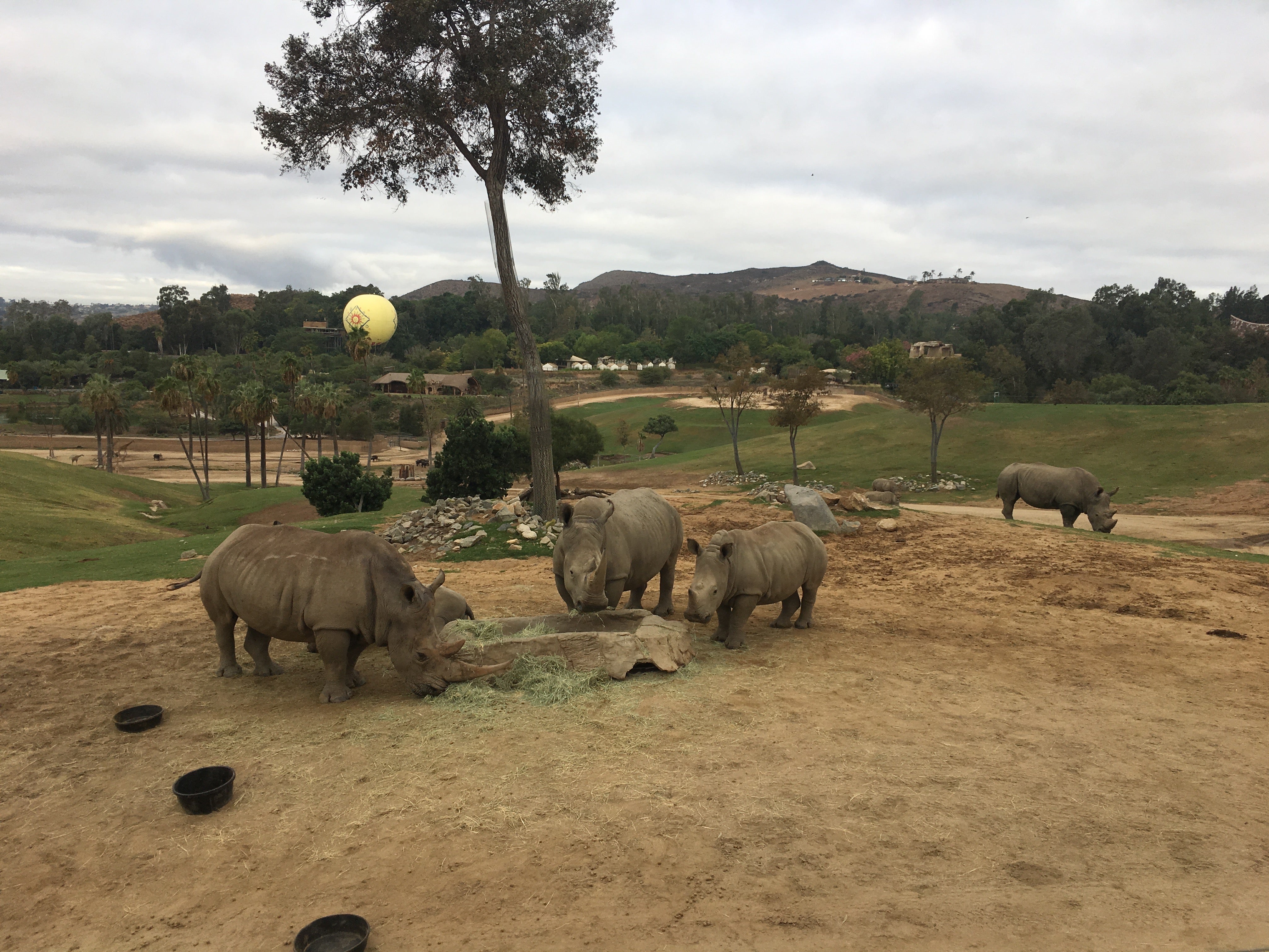 Small but mighty: Microbes and the biomes they create | San Diego Zoo ...